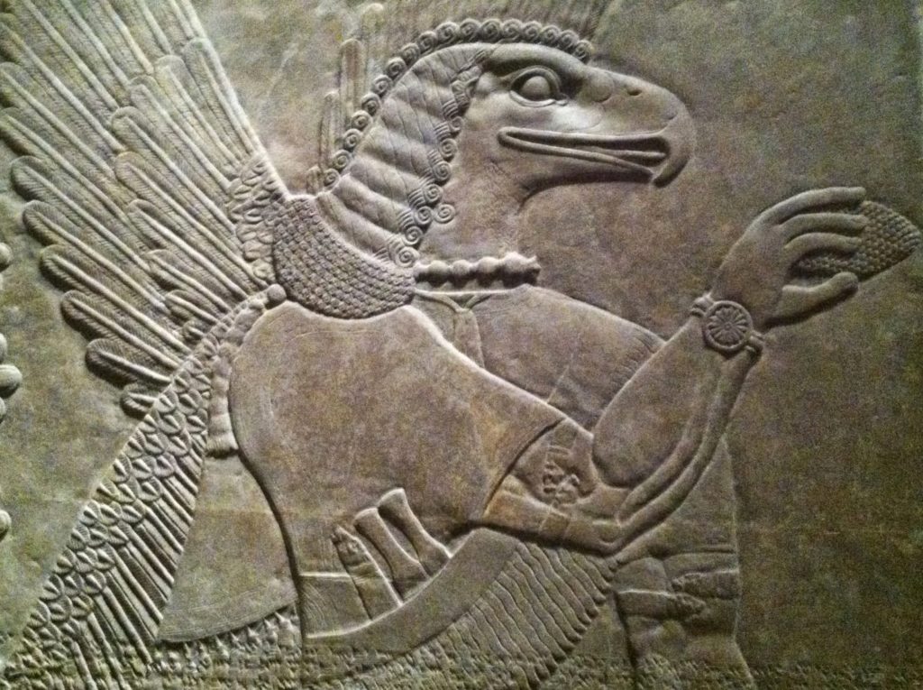 O Simbolismo da Pinha - Biblioteca Hermética